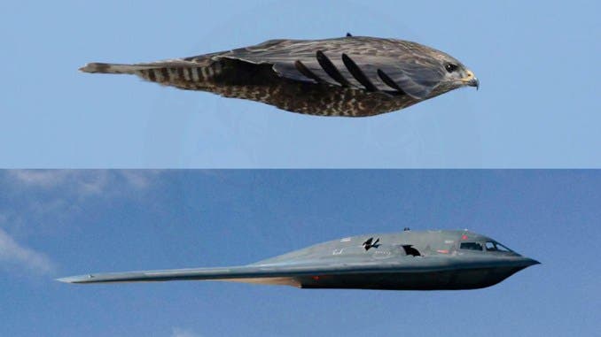 B2 spirit bomber taking off.. : r/aviation